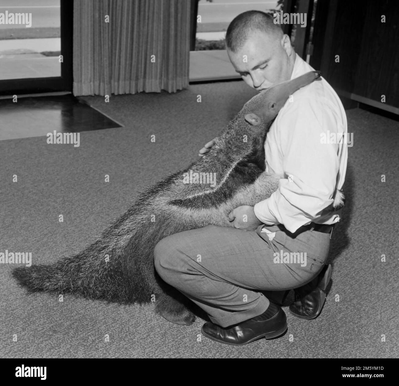 Vintage pet Black and White Stock Photos & Images - Alamy