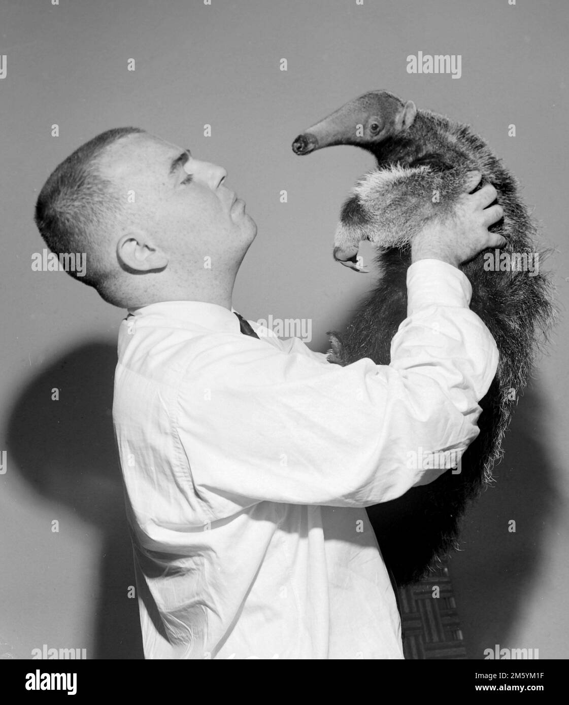 Historical pet hi-res stock photography and images - Alamy