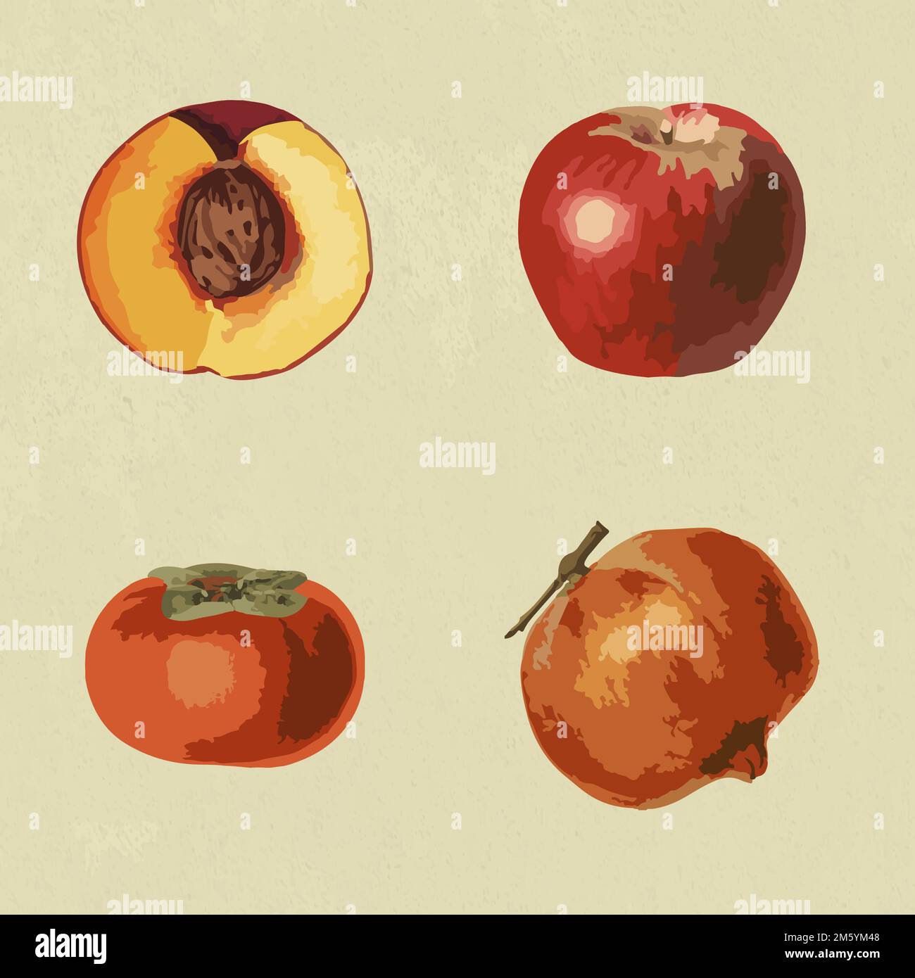 Vectorized tropical fruit sticker collection design elements Stock ...