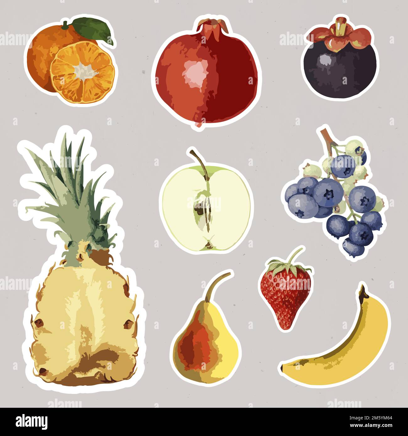 Vectorized tropical fruit sticker collection design elements Stock ...