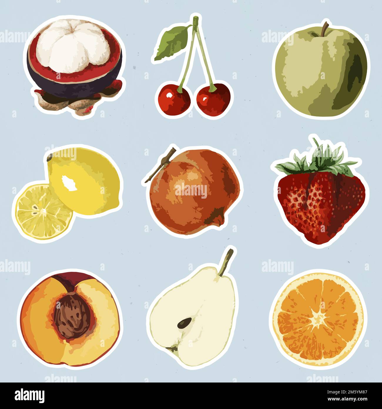 Vectorized tropical fruit sticker collection design elements Stock ...