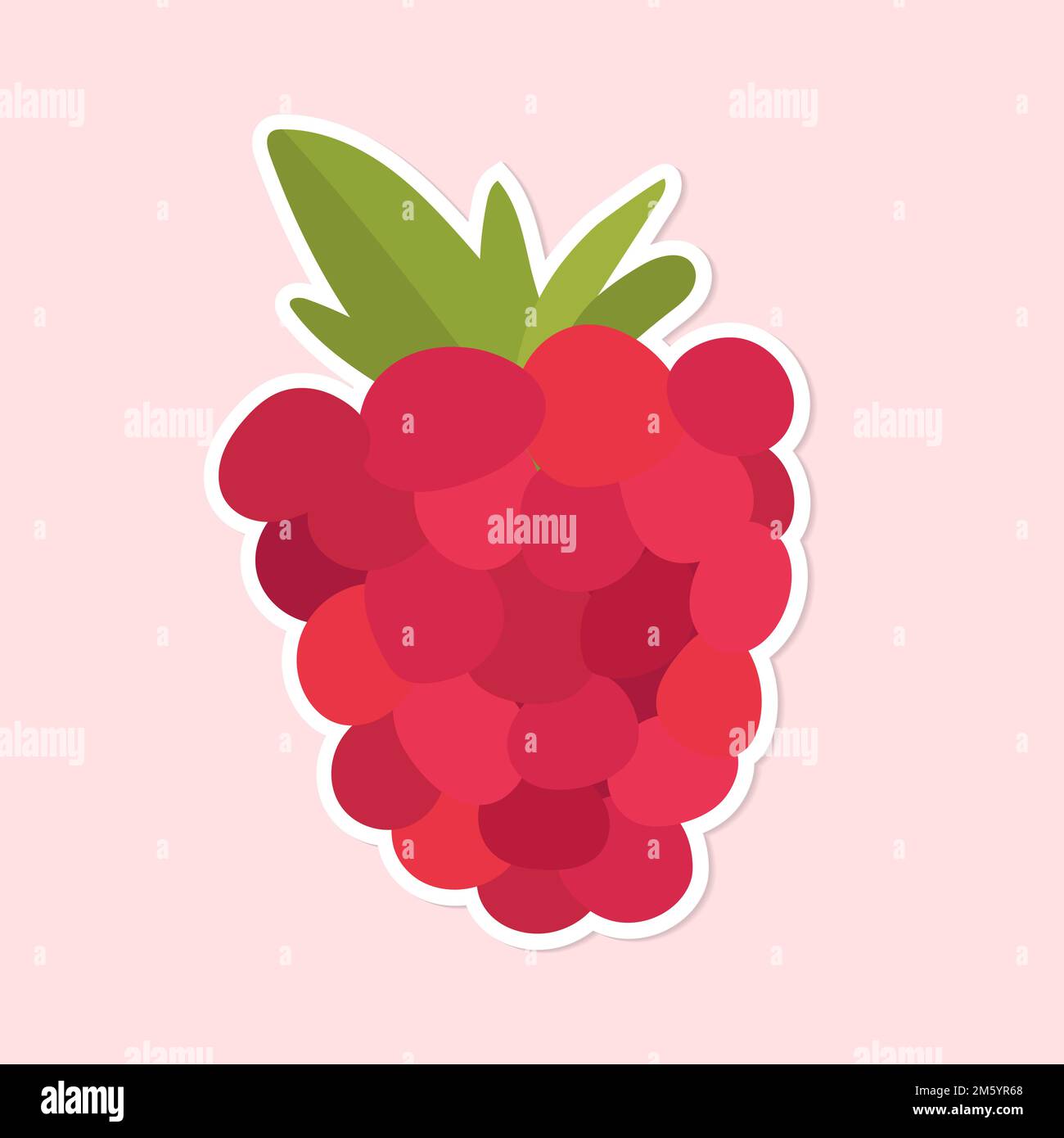 Vector colorful raspberry fruit sticker clipart Stock Vector Image ...