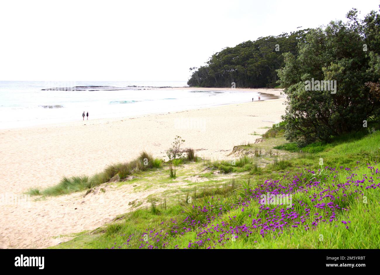 Mollymook Beach in South Coast of NSW, Australia Stock Photo - Alamy