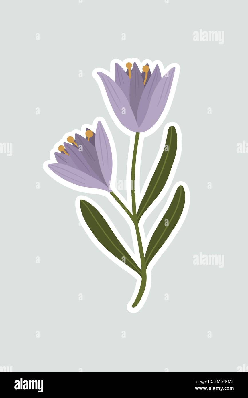 Blooming purple crocus flower vector Stock Vector Image & Art - Alamy