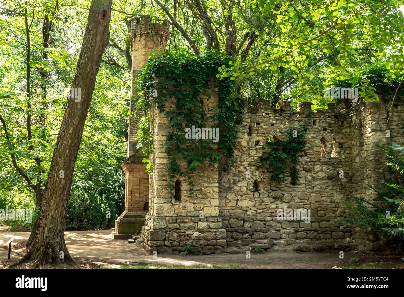 The overgrown castle in the forest Stock Photo - Alamy