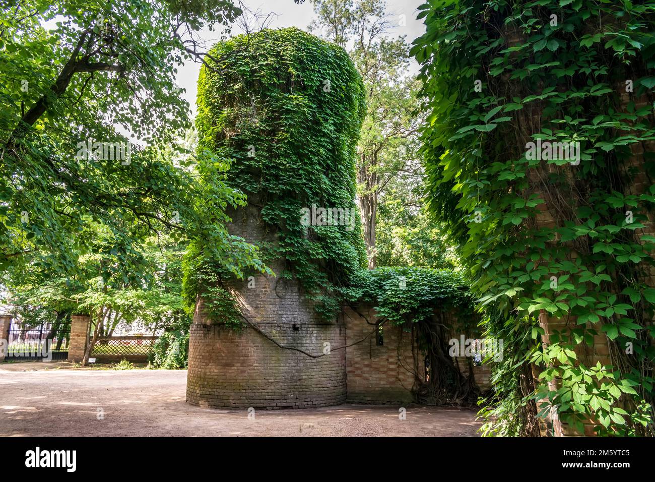 The overgrown castle in the forest Stock Photo - Alamy
