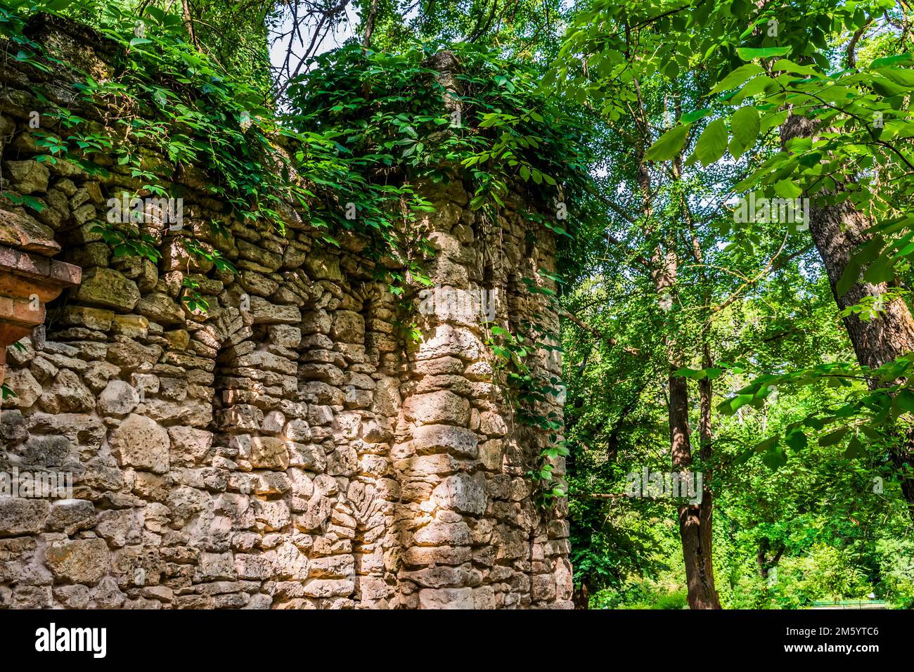 The overgrown castle in the forest Stock Photo - Alamy