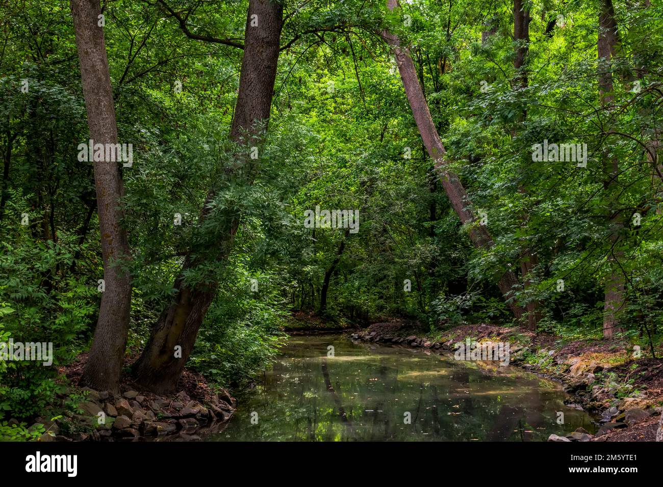 The small stream among the park Stock Photo - Alamy