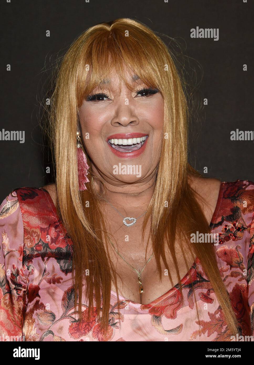 FILE: Anita Pointer, a founding member of The Pointer Sisters, has died ...