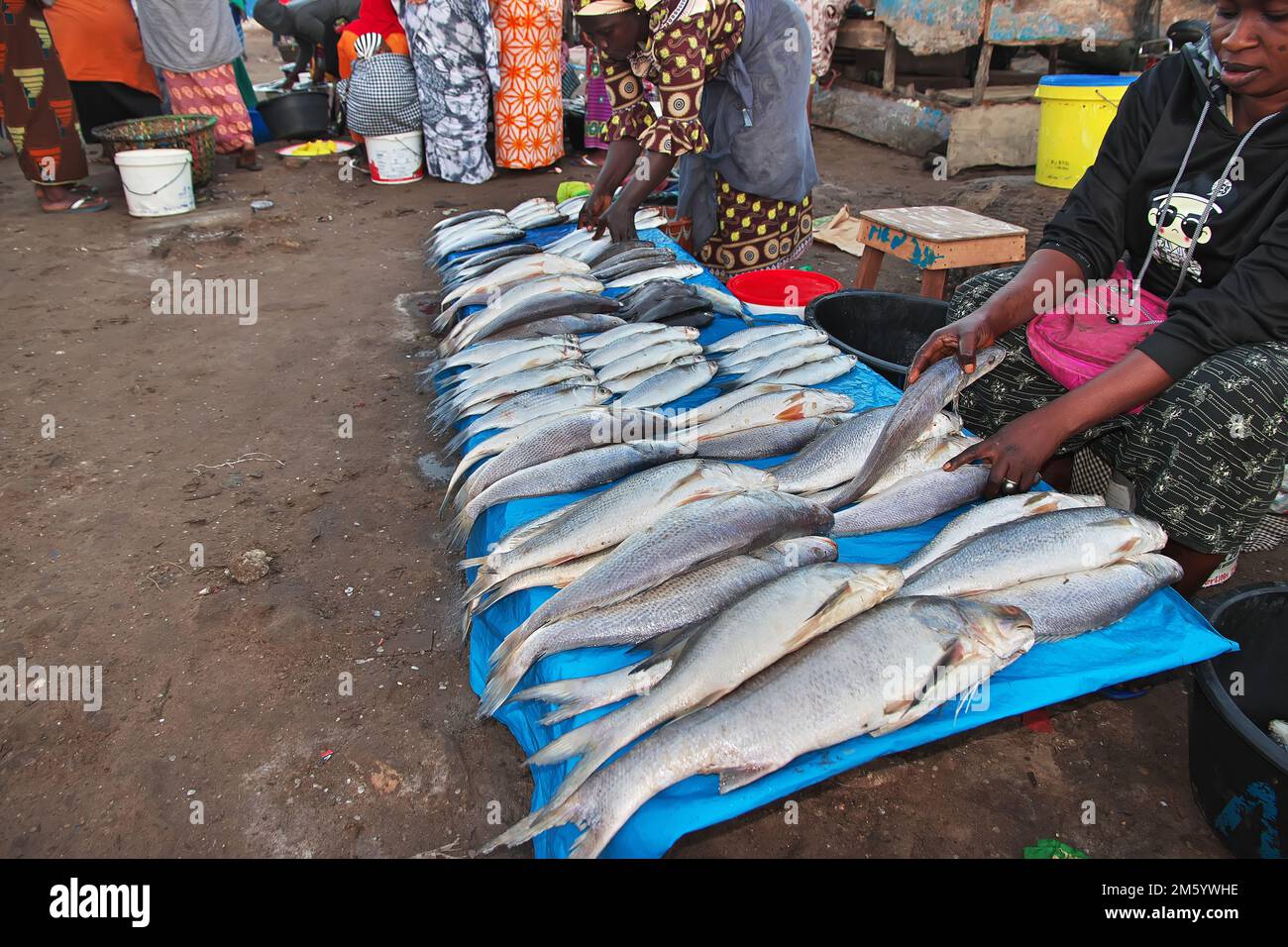 Senegalese fisher hi-res stock photography and images - Alamy