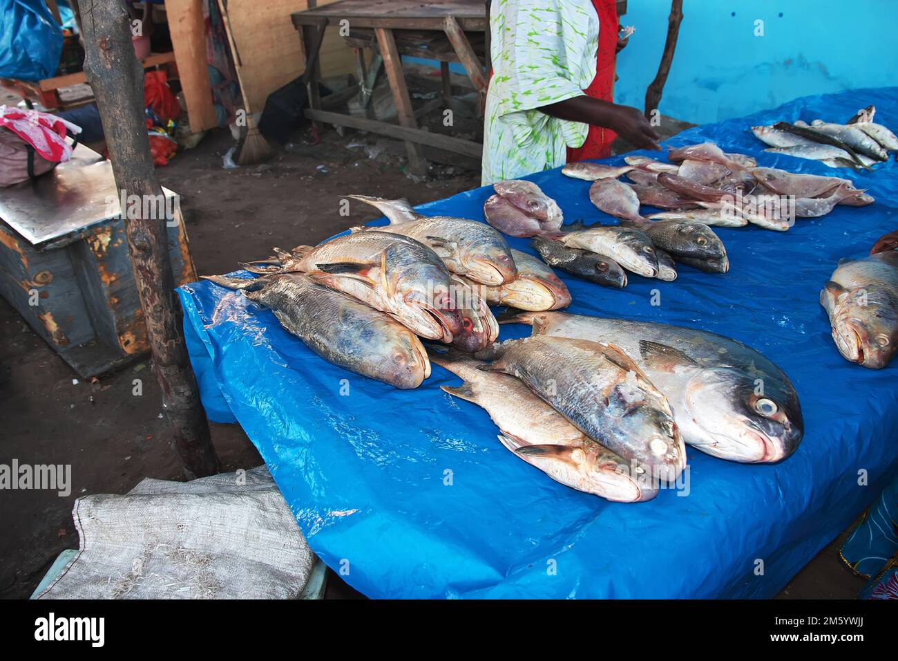 Senegalese fisher hi-res stock photography and images - Alamy