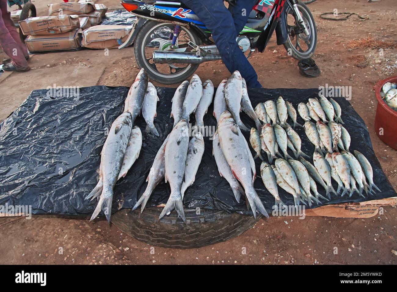 Senegal fish market in ziguinchor hi-res stock photography and images ...