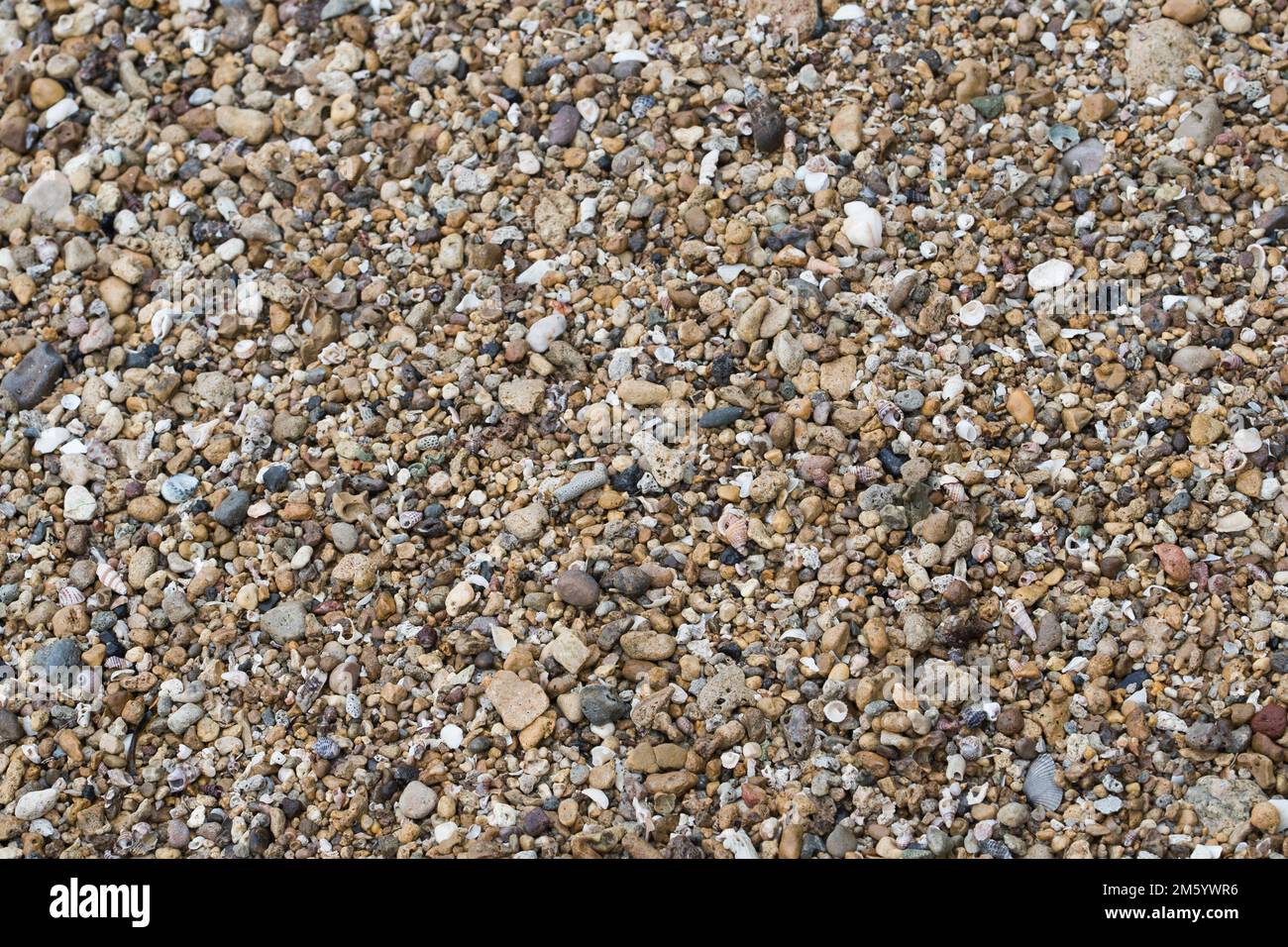 Smooth round pebbles on the beach in Bangkalan, Madura, Indonesia Stock ...