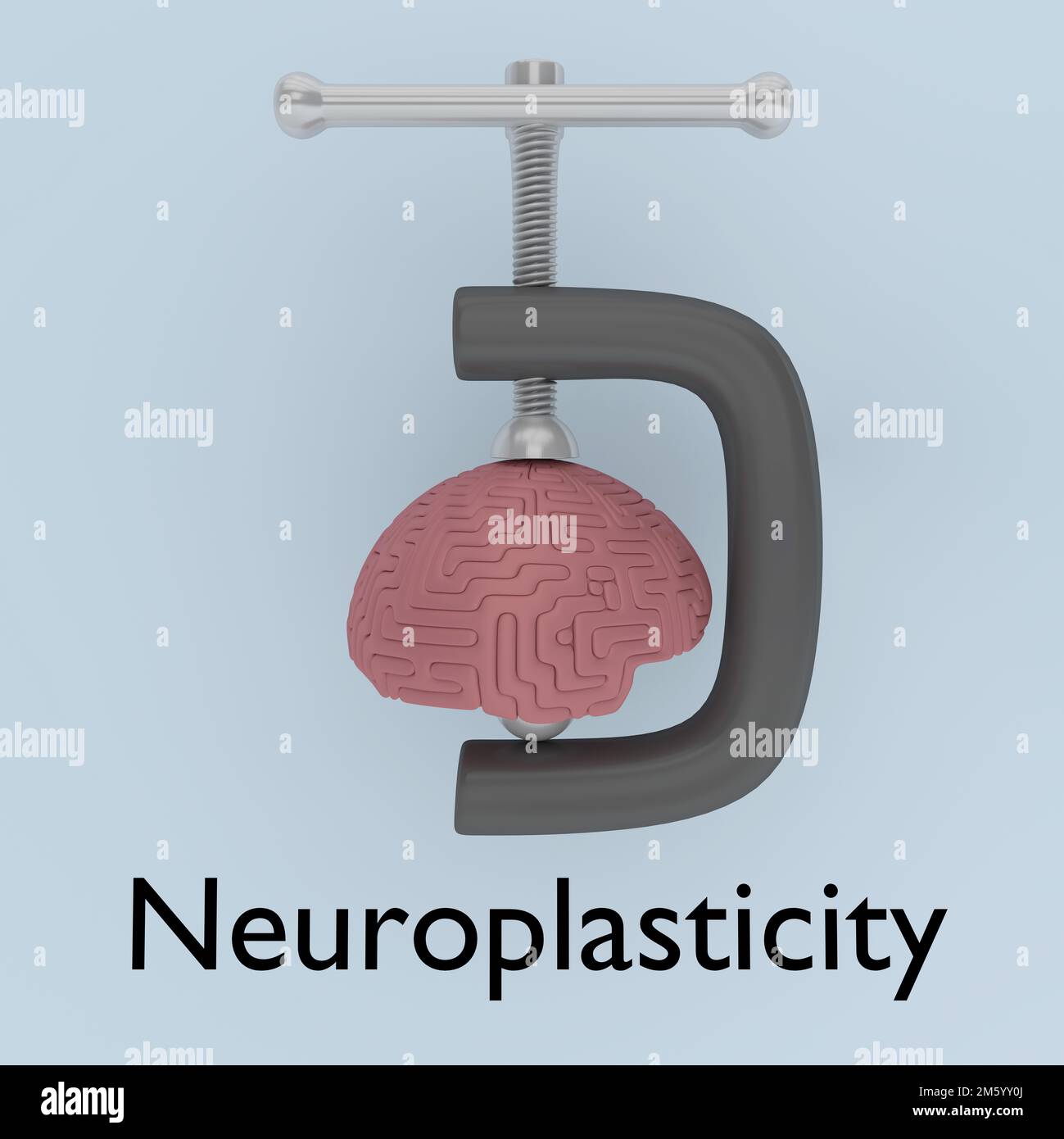 3D illustration Neuroplasticity script below a symbolic human brain ...