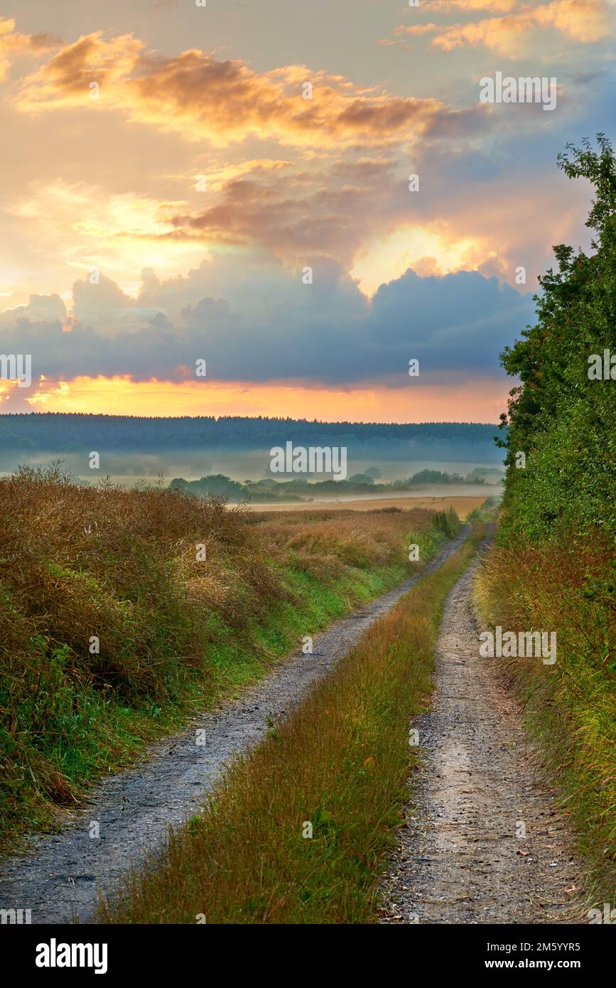 Scenic corn fields hi-res stock photography and images - Alamy