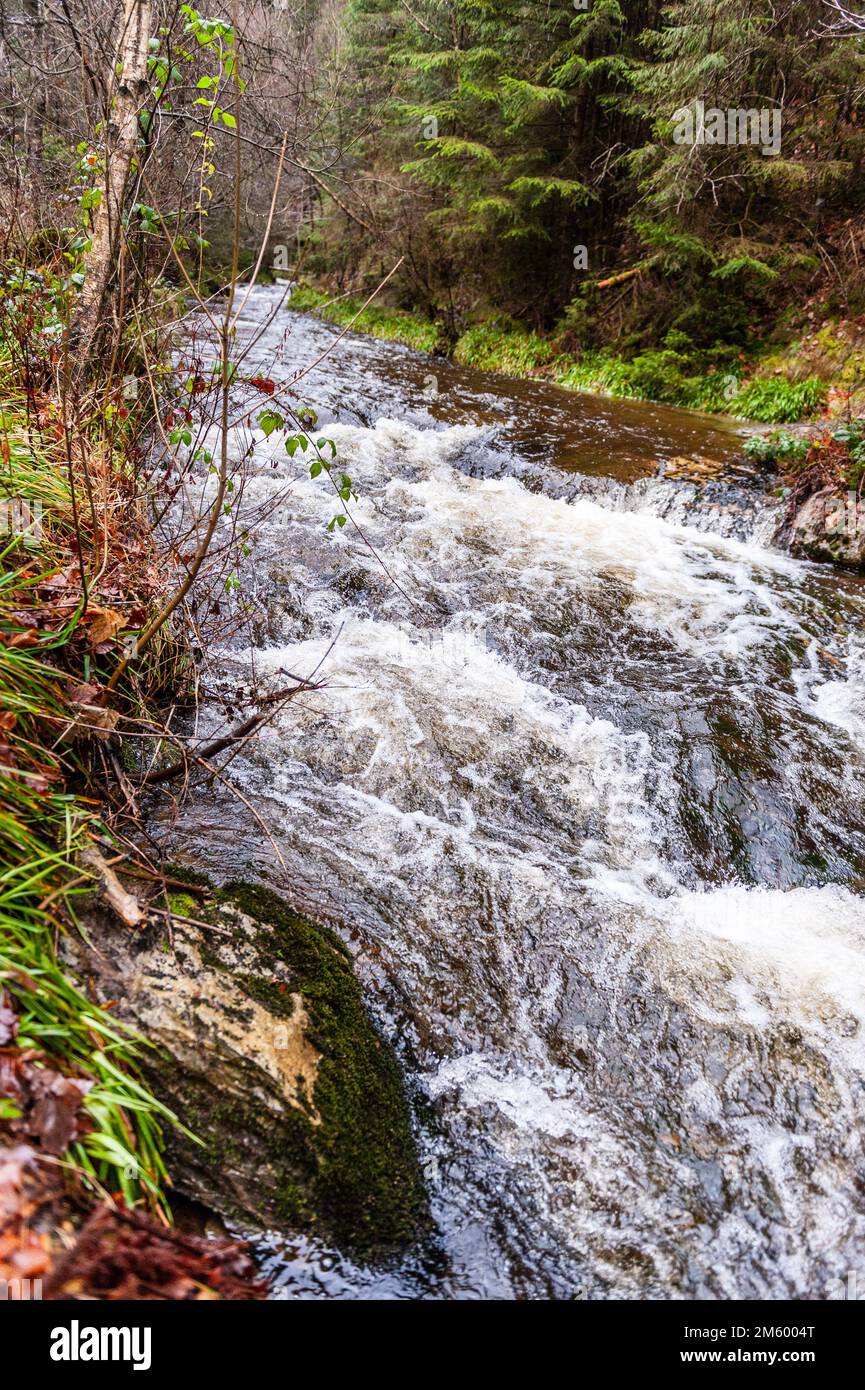 A small river flowing through the belgian ardennes on an early winter ...