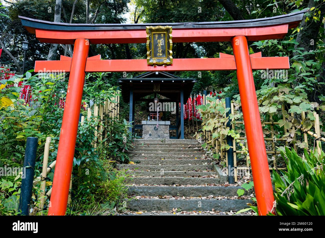 Tokyo, Japan. 10th Nov, 2022. A Torii gate arch leading to a Shinto ...