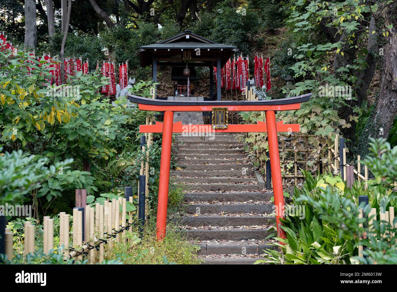 Tokyo, Japan. 10th Nov, 2022. A Torii gate arch leading to a Shinto ...