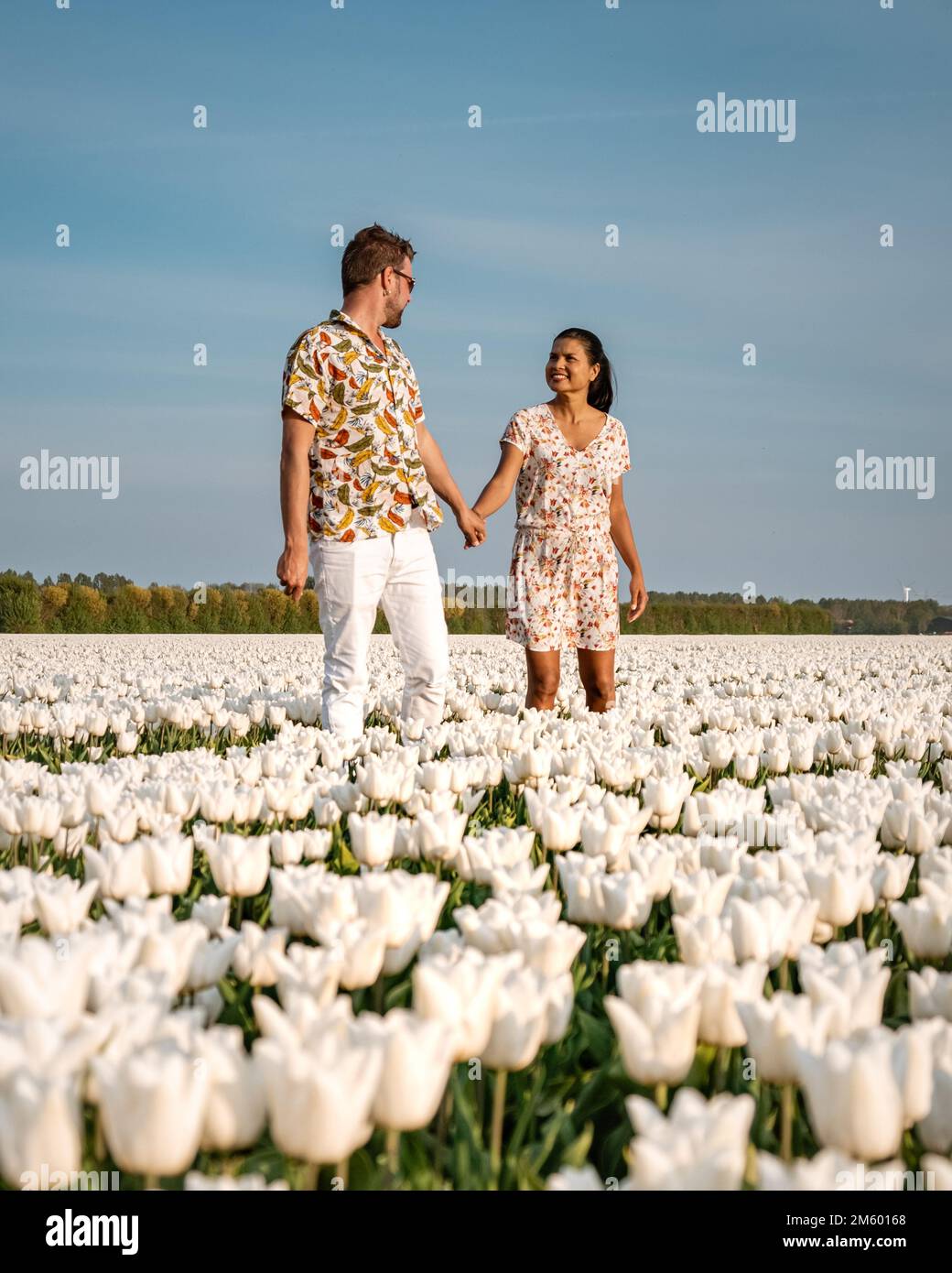 A couple of men and women in a tulip field during Spring in the ...