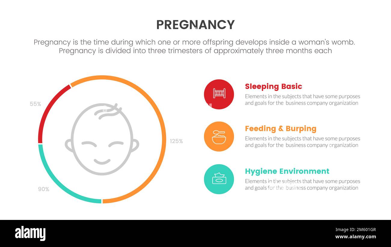 baby things circle percentage for pregnant or pregnancy infographic ...
