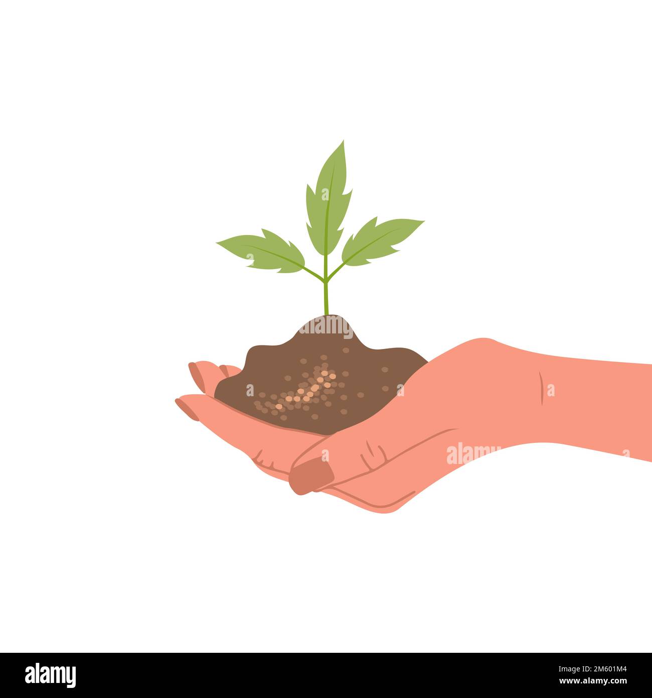 Planting sapling. Female farmer holding soil with sprout in hand ...