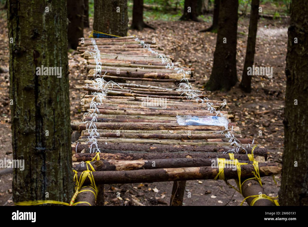 An impromptu table in a forest camp from branches tied together Stock ...