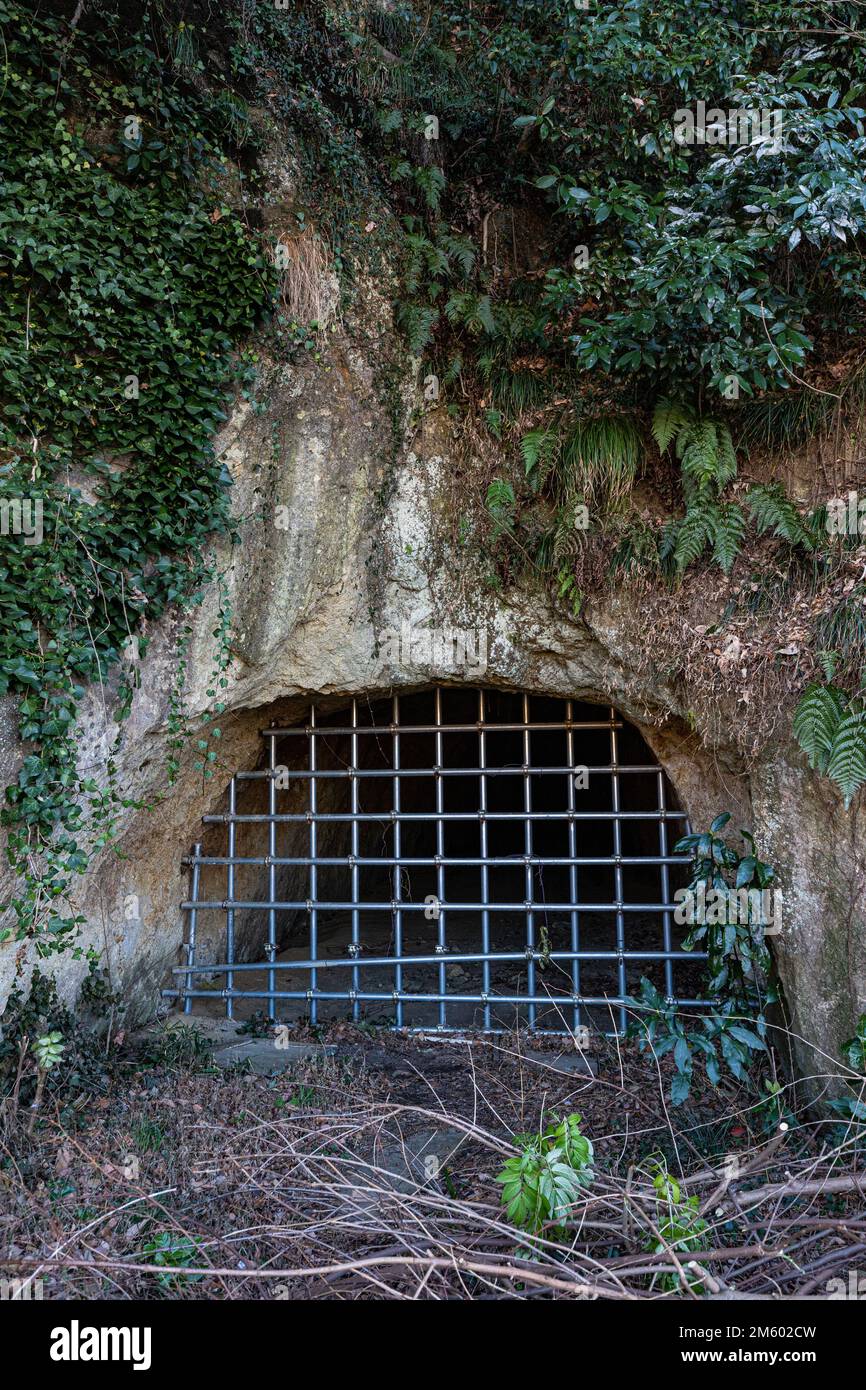 Yoshimi Hyakuana is also called Hyakuketsu. The name, in either case ...