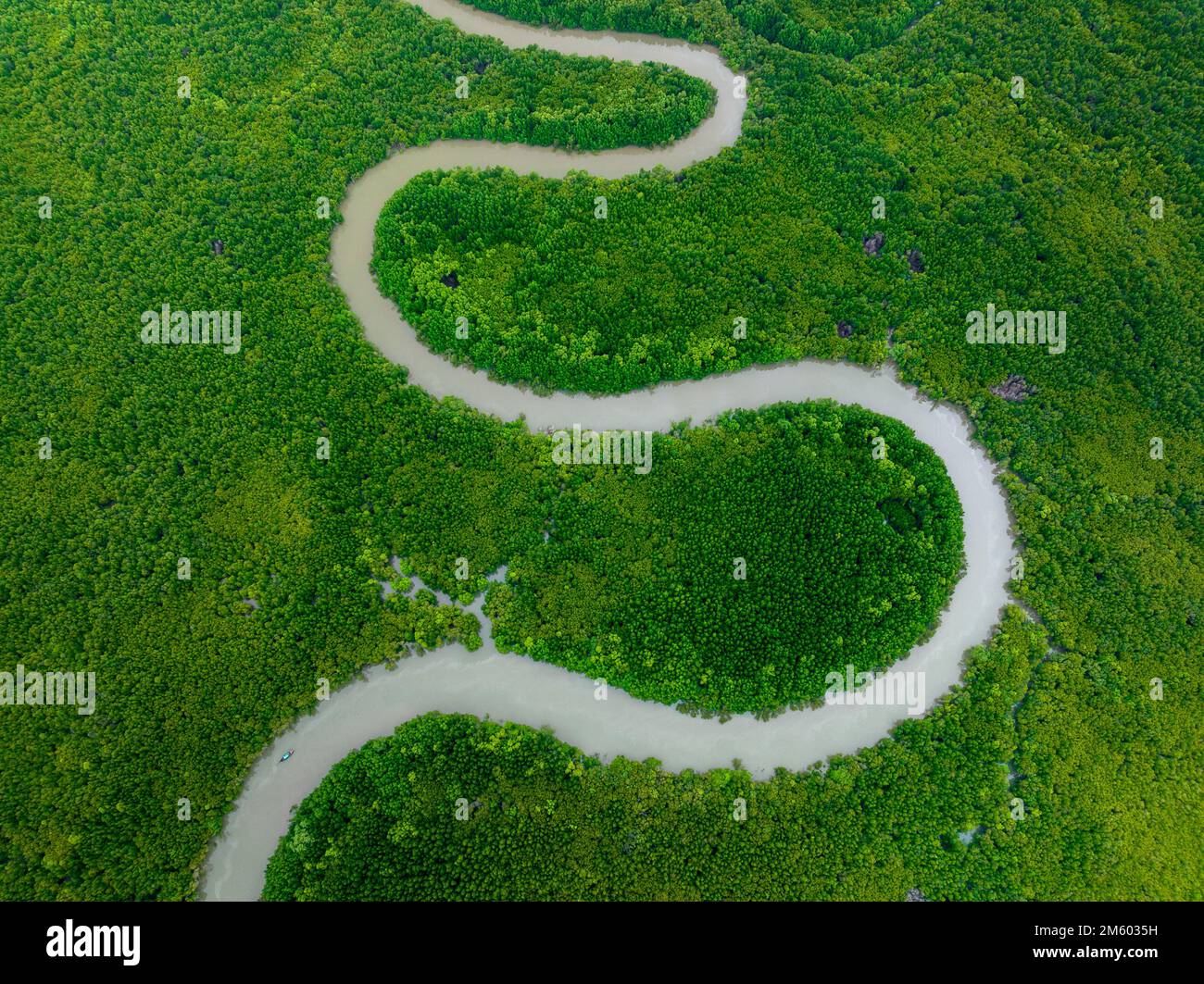 Aerial top down view of Phang Nga bay, Thailand mangrove forest ...