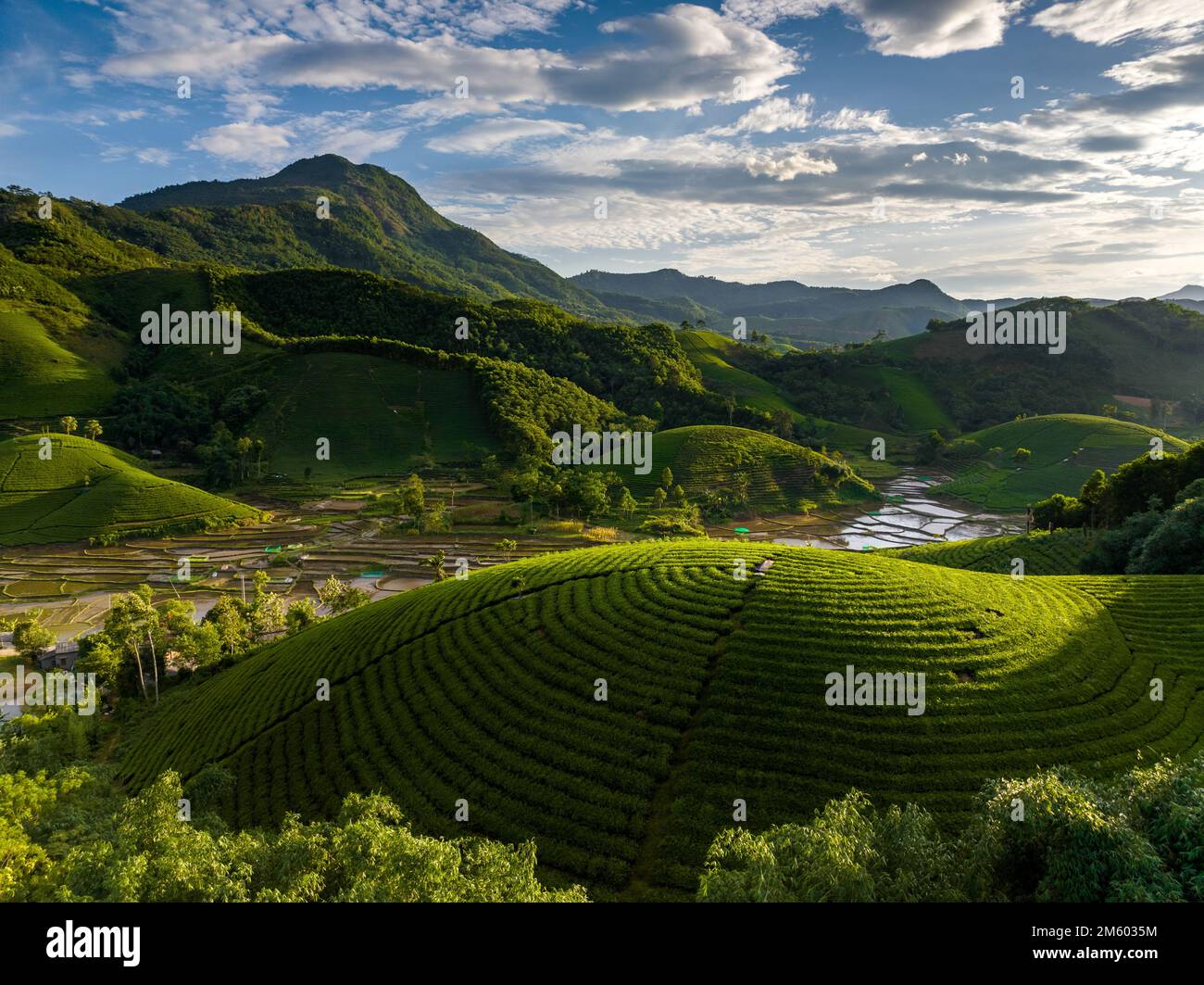 Aerial view of beatiful sunset at Long Coc tea hill, Phu Tho province ...