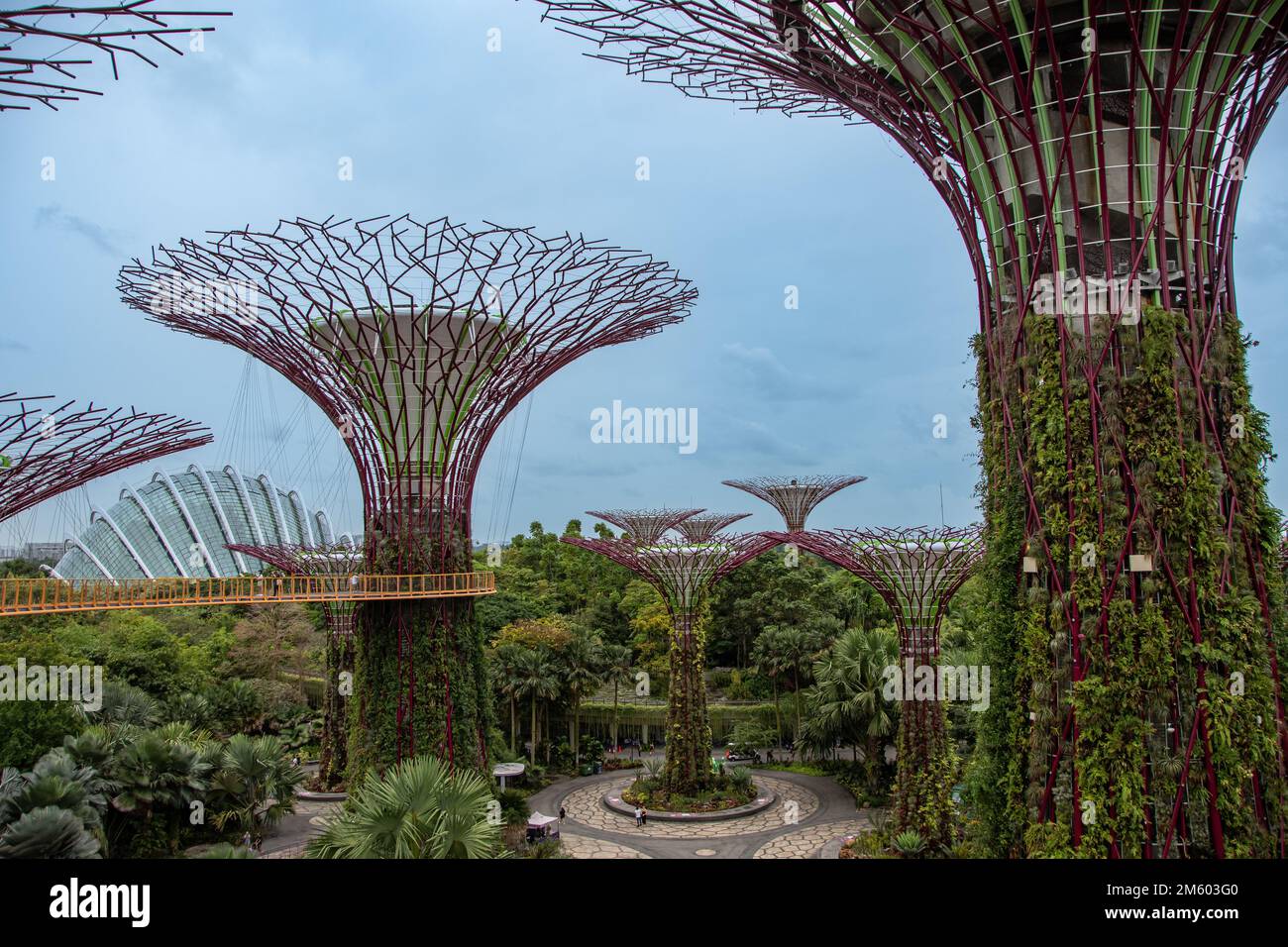 Singapore, Singapore 30 August 2022, The view from the OCBC Skyway of the Supertree Grove and ...