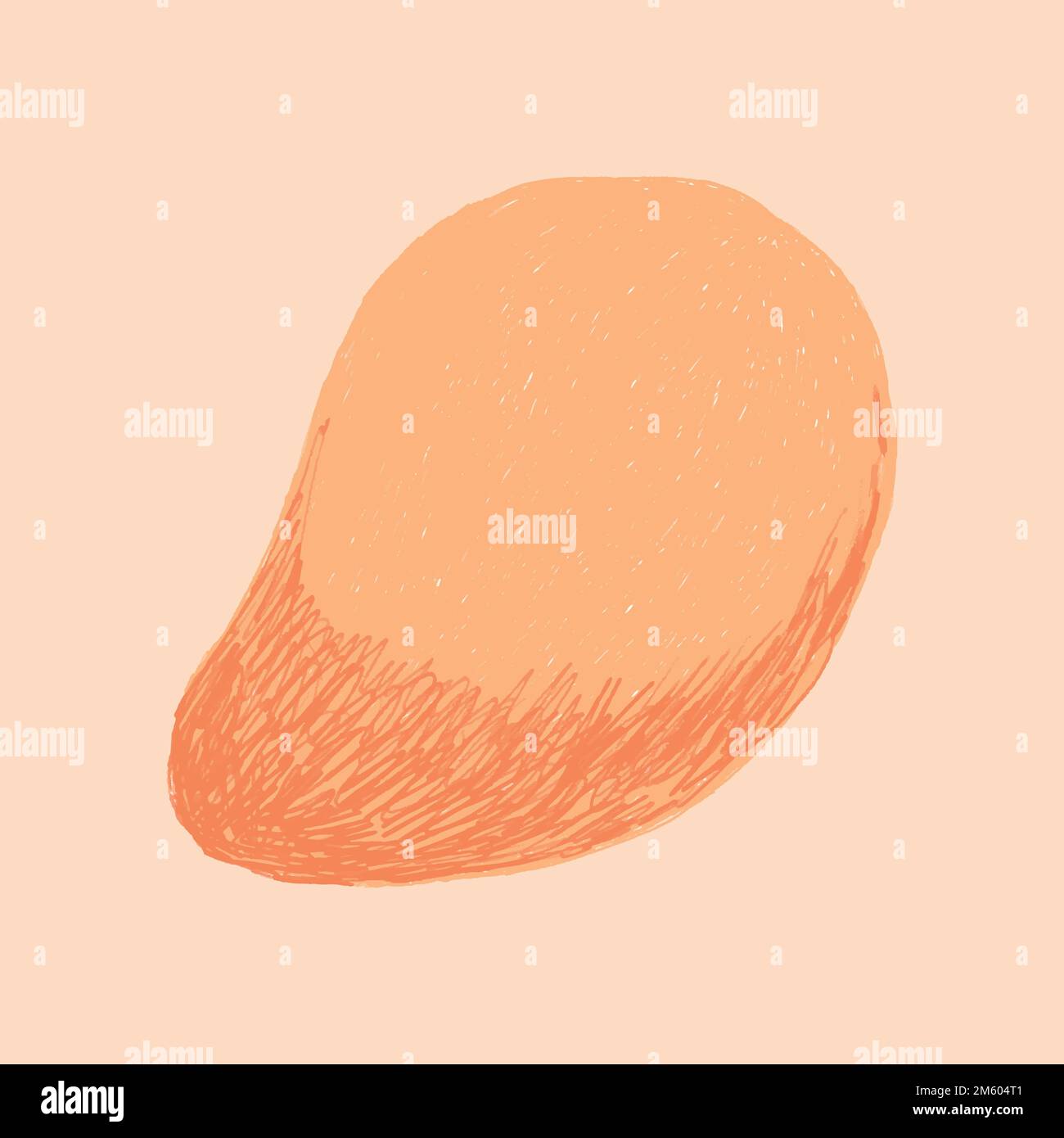 Colorful hand drawn mango fruit vector Stock Vector Image & Art - Alamy