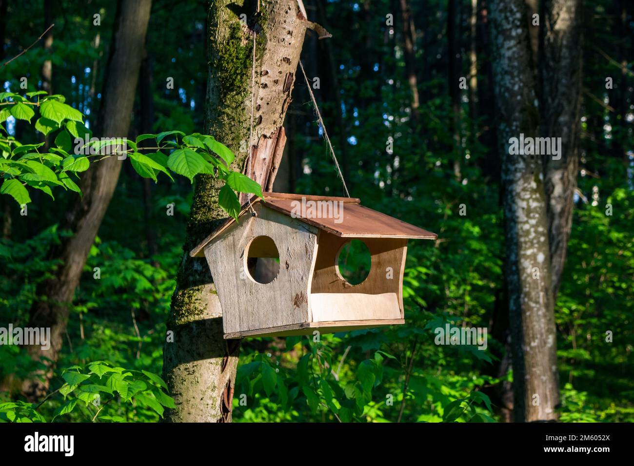 Bird feeder cut out of plywood and hung on a tree in the forest Stock ...