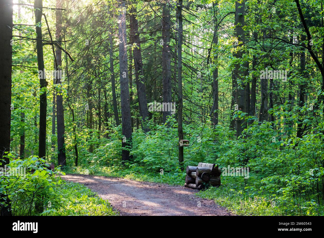 Old bench made logs hi-res stock photography and images - Alamy
