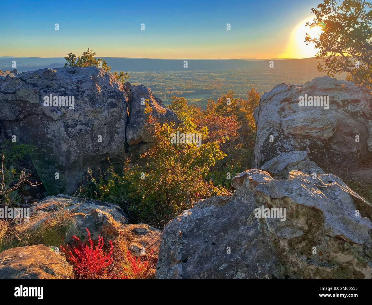 A scenic shot of Hawksbill Crag(Whitaker Point) in Newton County ...