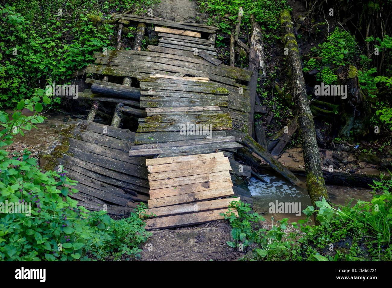 Old broken wooden bridge over a ravine with a stream Stock Photo - Alamy