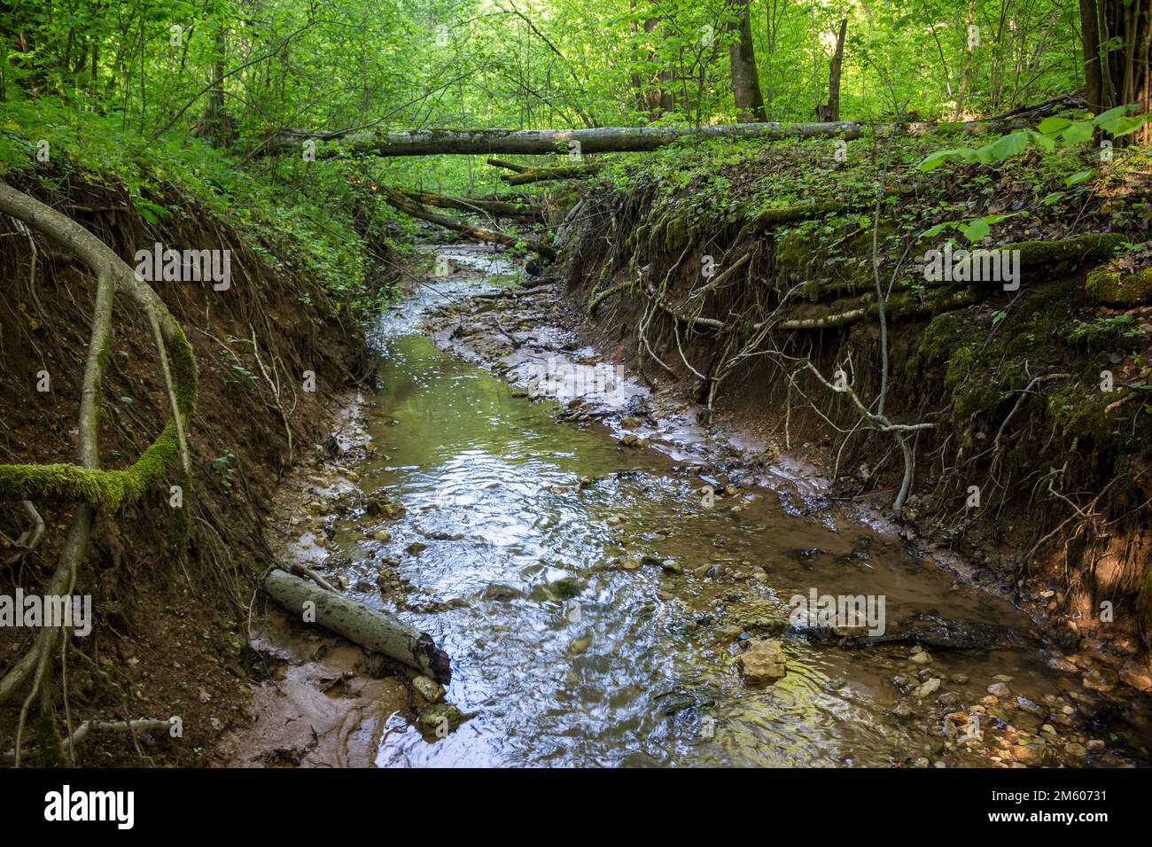 Stream bed erosion hi-res stock photography and images - Alamy
