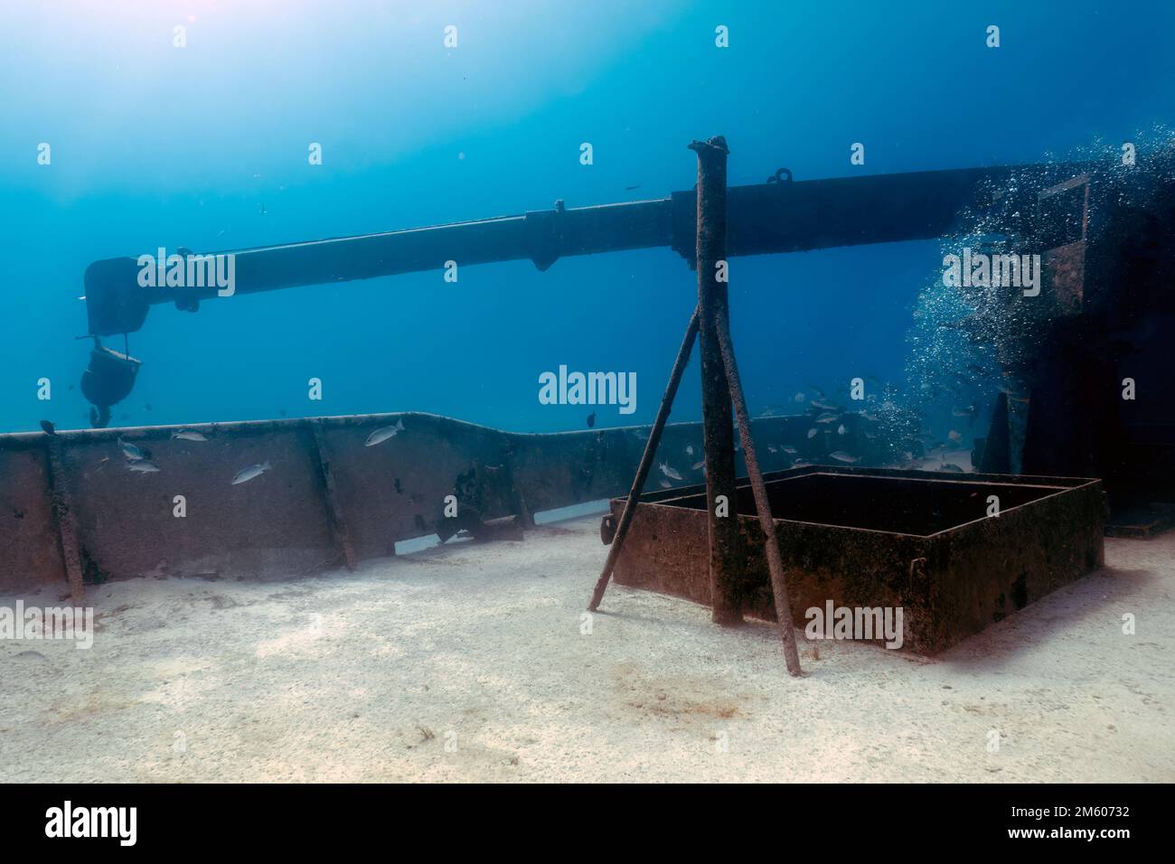 The wreck of the MV Sherice M in South Bimini, Bahamas Stock Photo - Alamy