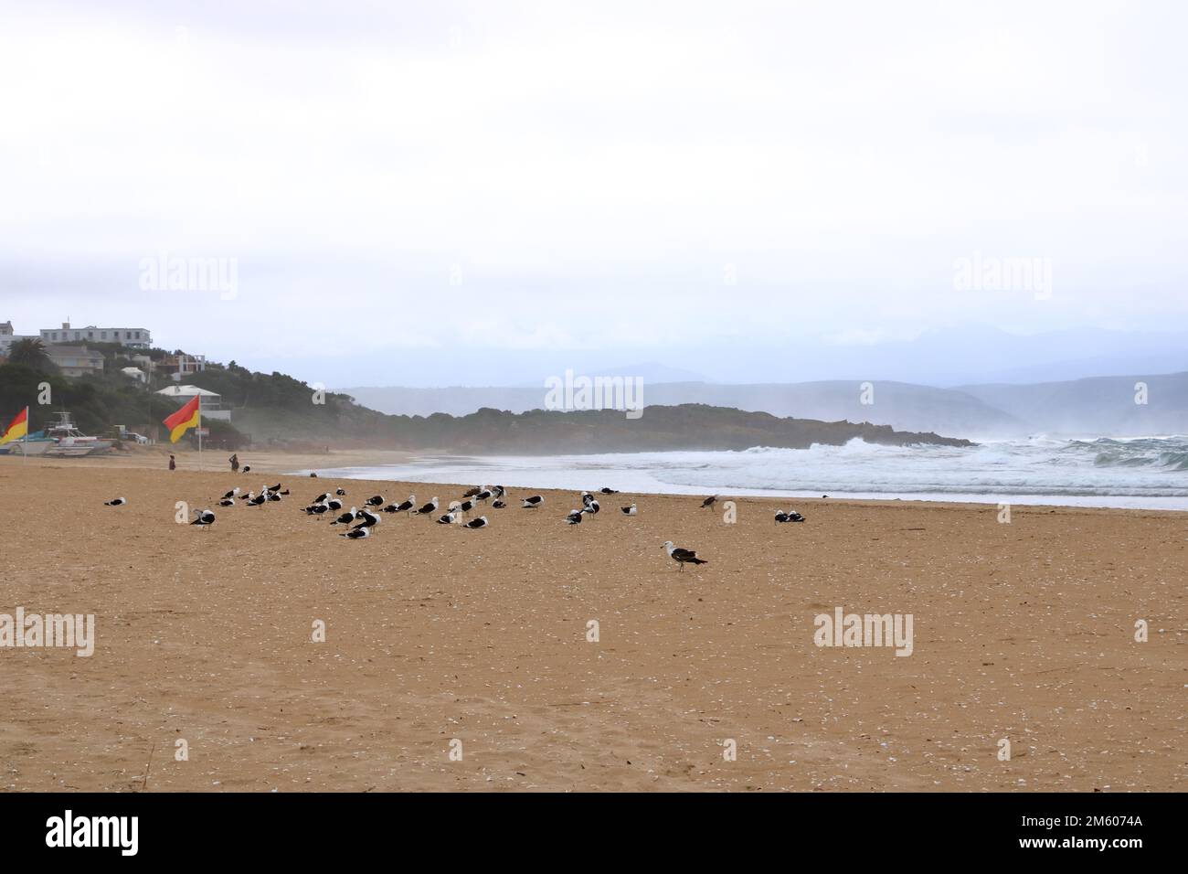 September 27 2022 - Plettenberg Bay in South Africa: Holiday makers ...