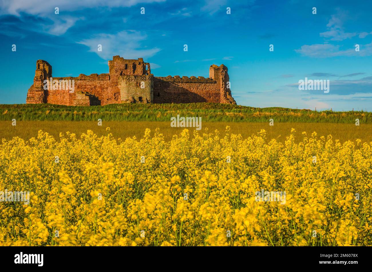 Tantallon Castle, East Lothian, Scotland, UK Stock Photo - Alamy