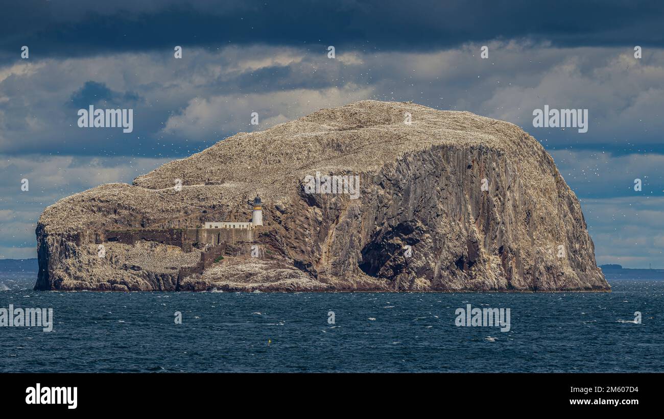 Bass Rock Panorama Stock Photo - Alamy