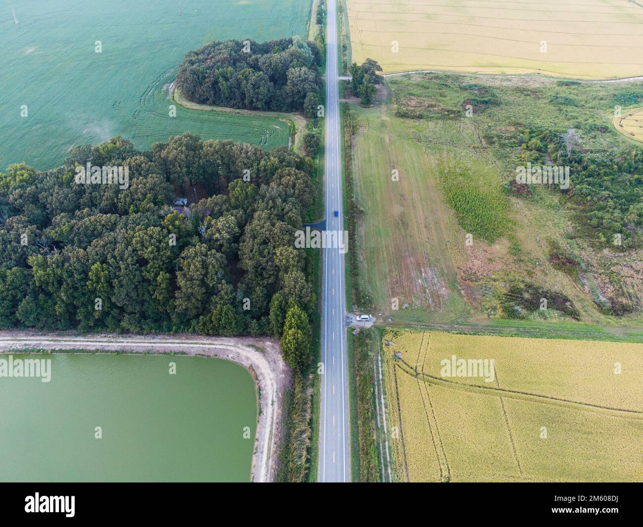 A bird's eye view of a road surrounded by the fish pond and a field at ...