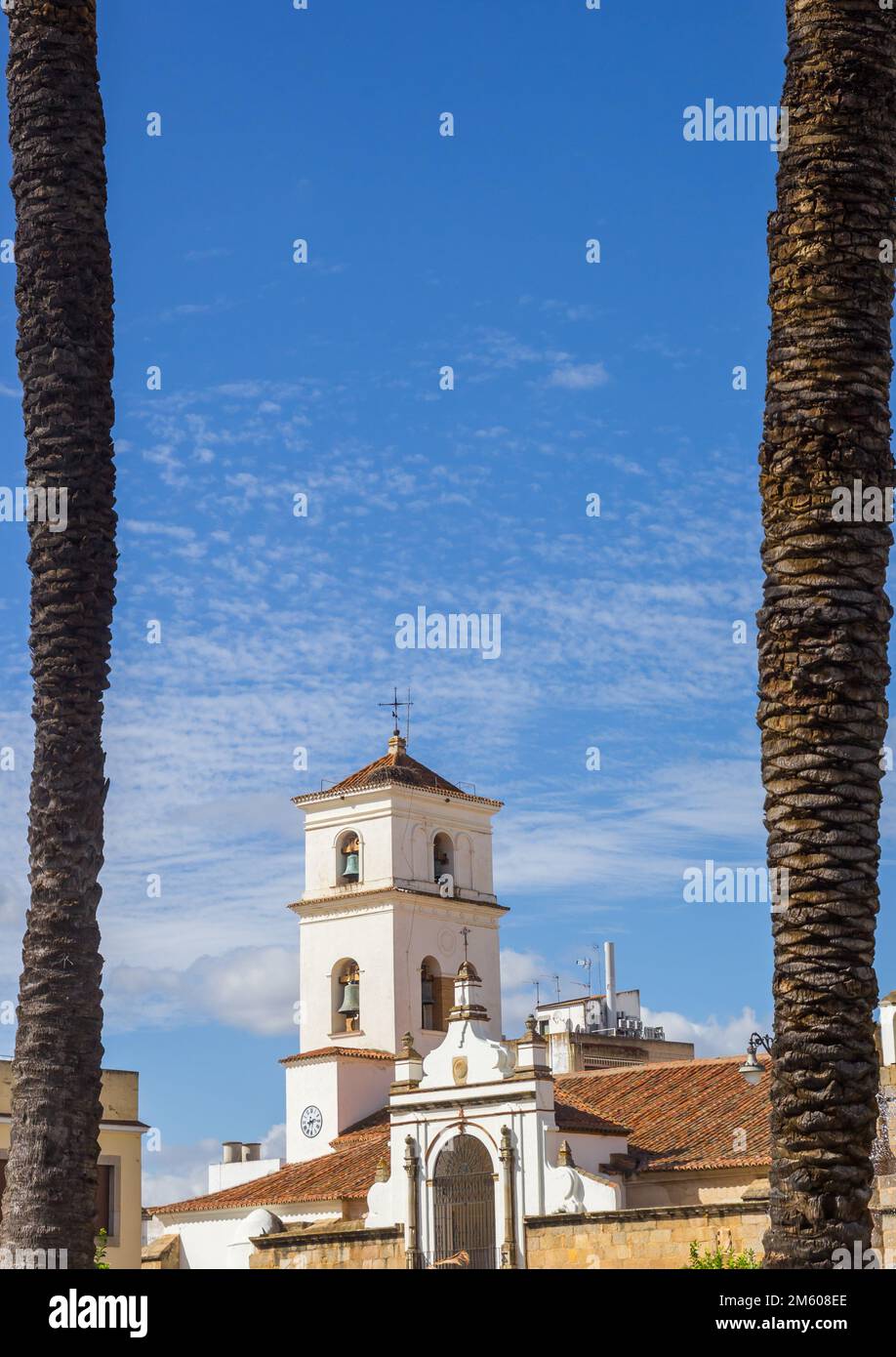 View of the Santa Maria church between two palm trees in Merida, Spain ...
