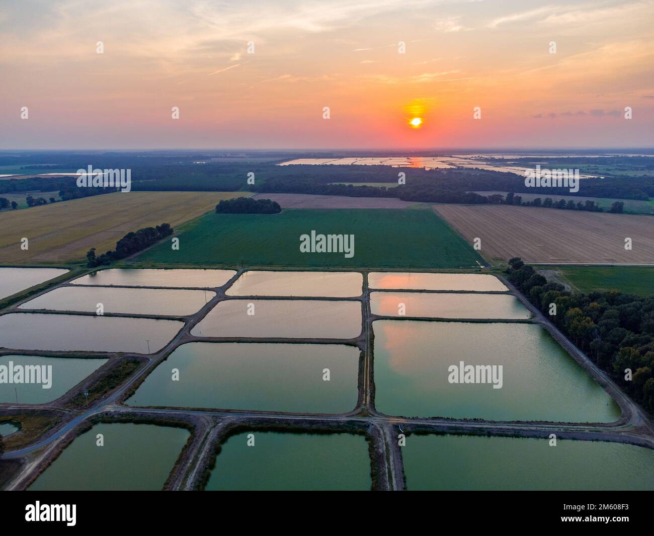 A bird's eye view of the fish pond surrounded by a field at sunset ...