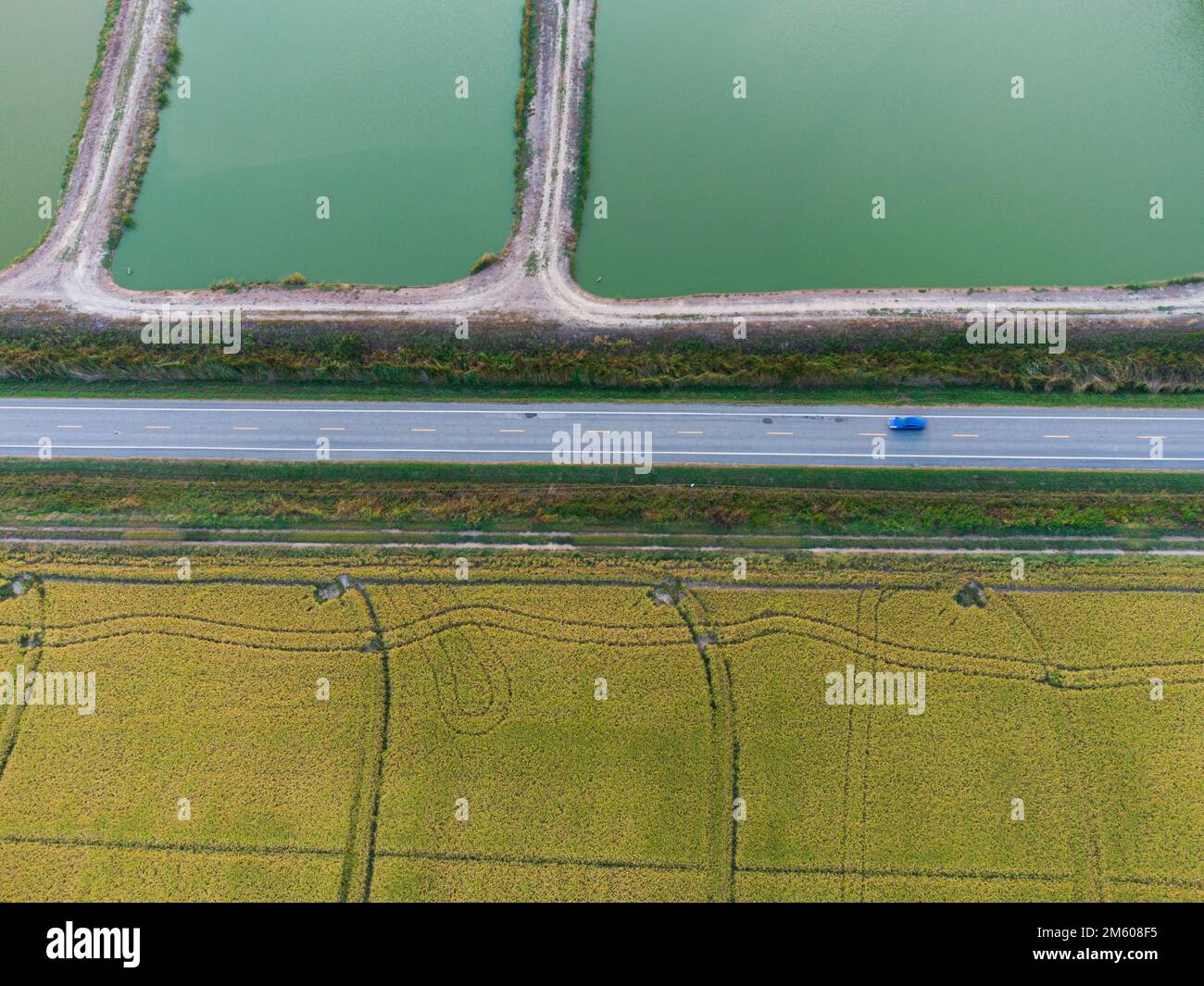 A bird's eye view of a road surrounded by the fish pond and a field at ...
