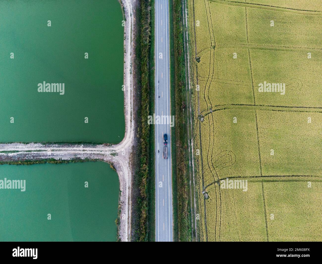 A bird's eye view of a road surrounded by the fish pond and a field at ...