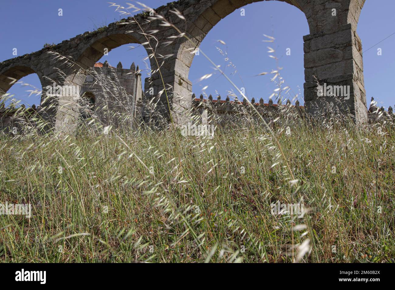Mysterious medieval convent and aqueduct in the middle of tall grass ...