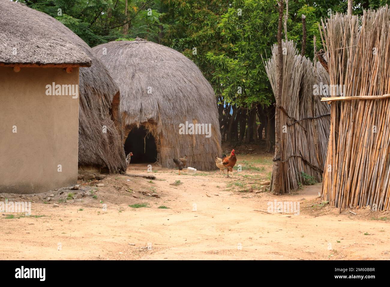 Traditional Cultural Village Matsamo, Eswatini, Swaziland Stock Photo ...