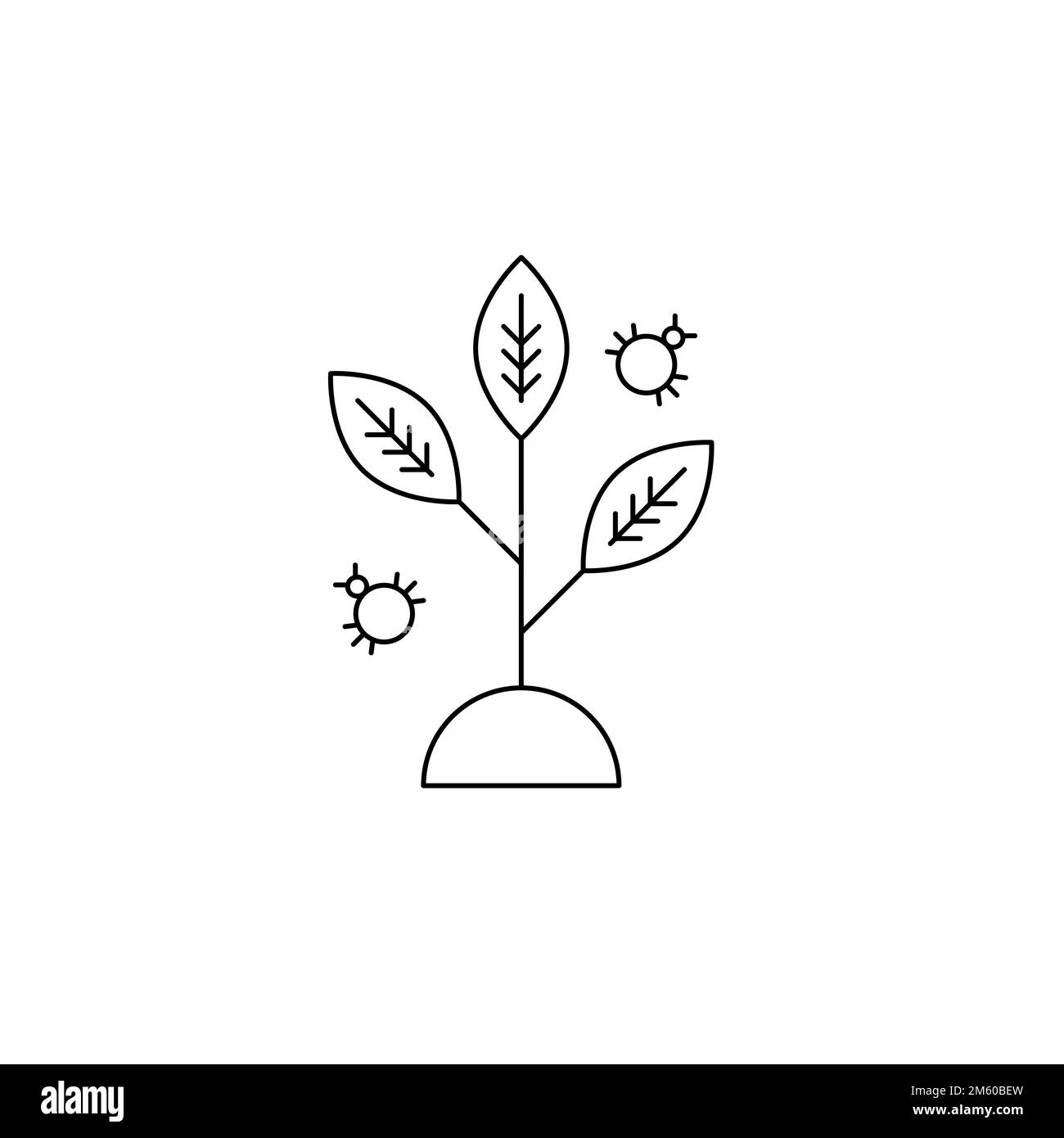 Crop insect pest Black and White Stock Photos & Images - Alamy