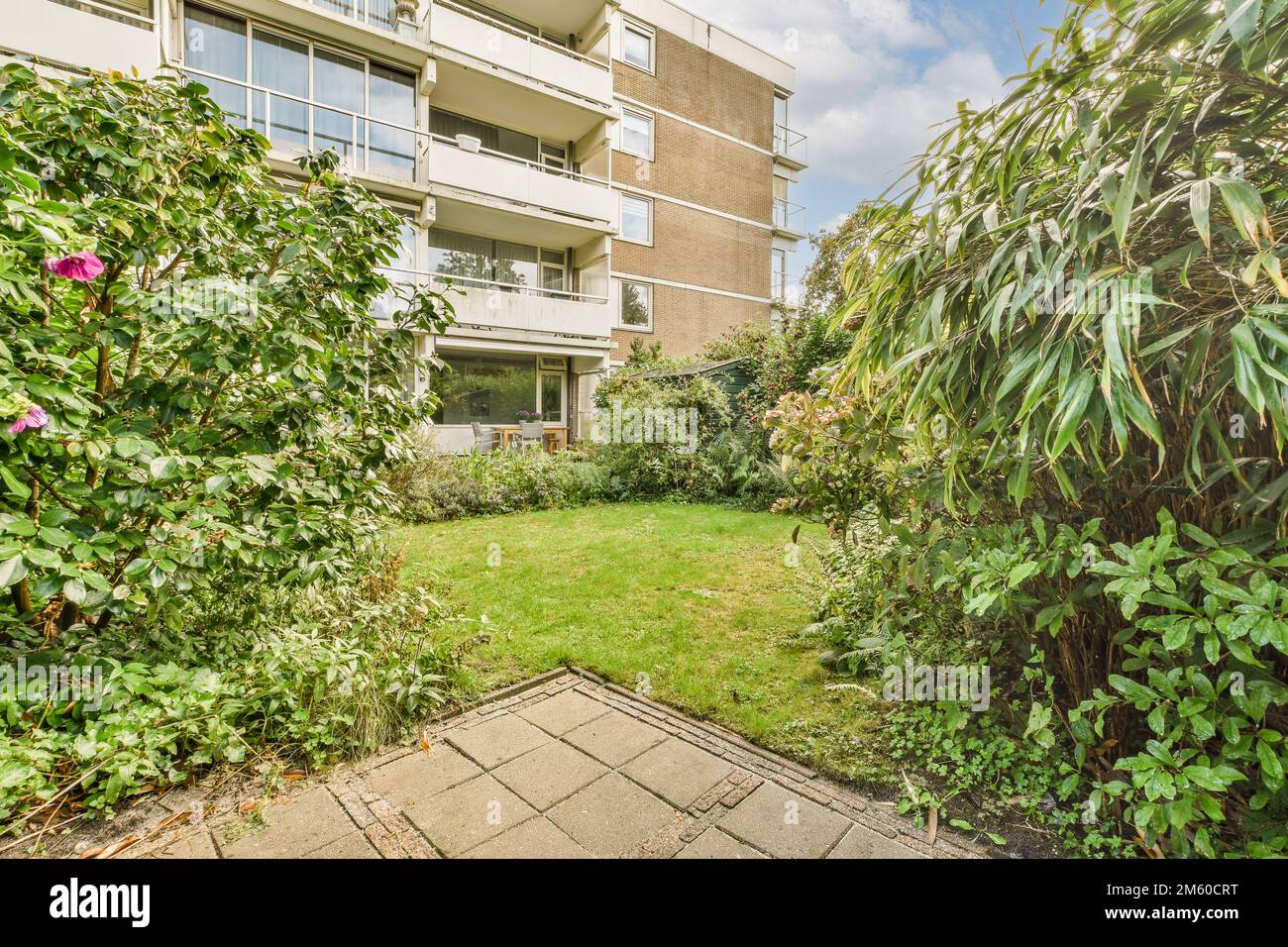 Plants outside a building hi-res stock photography and images - Alamy