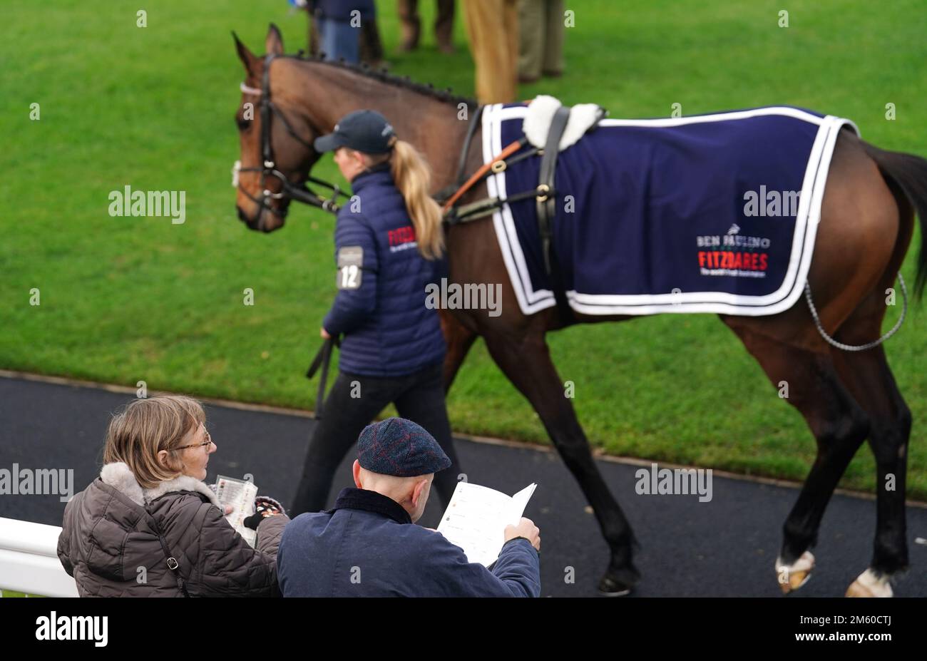 Race goers inspect the horses in the Pre-Parade ring prior to The ...